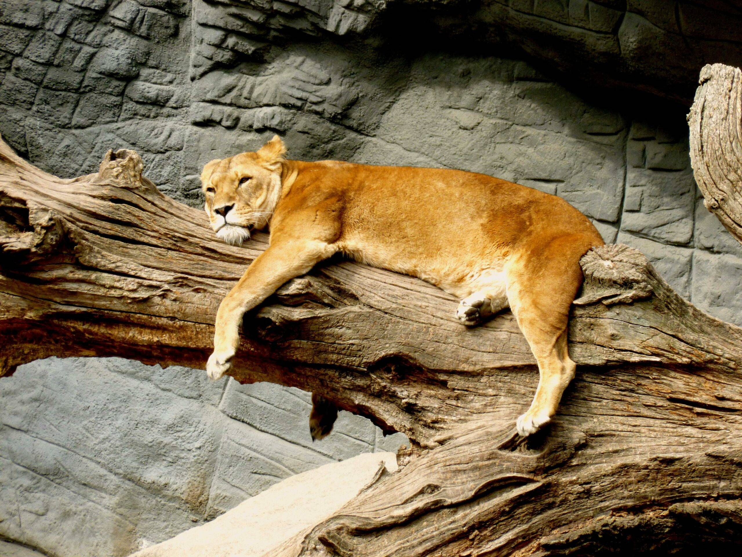 Nervous? Can't Relax? - ViaPure Wellness, LLC